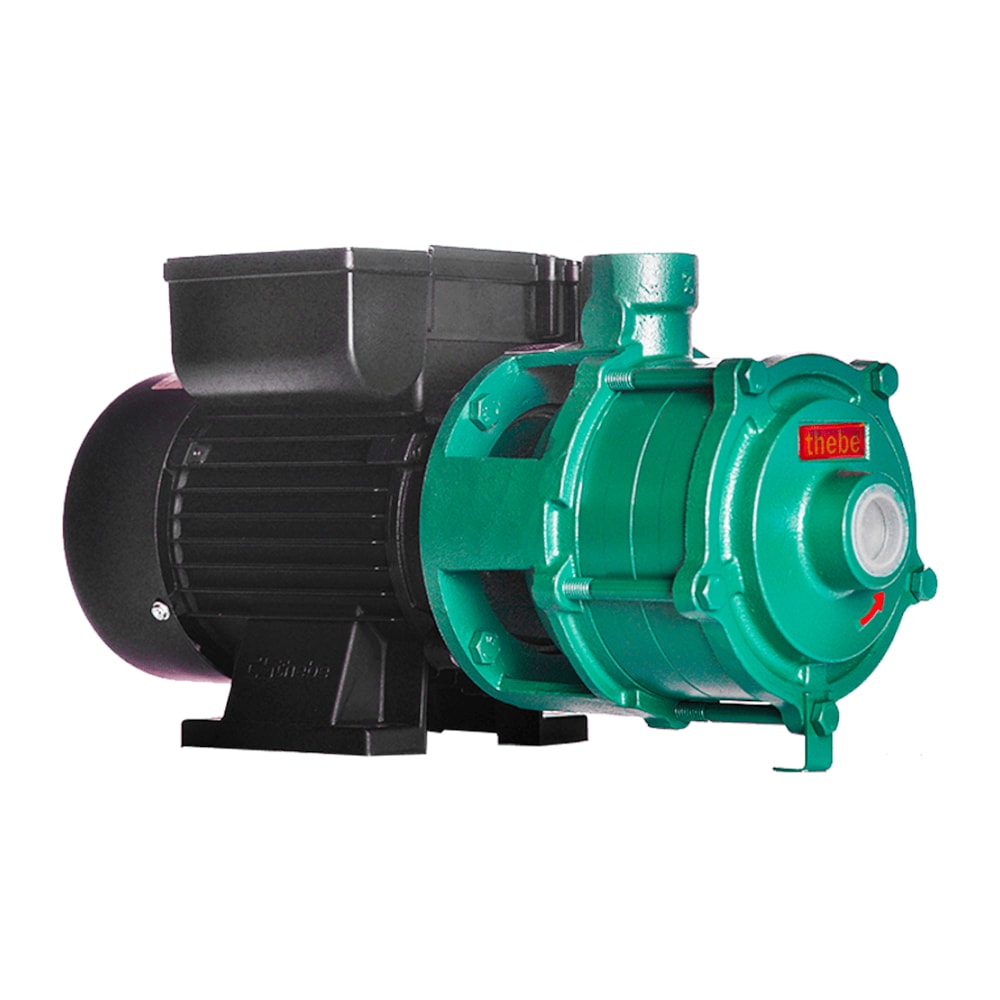 Bomba Thebe P-11/3 NR 1,5CV Monofásico IP55 127/220V - Loja Agrometal